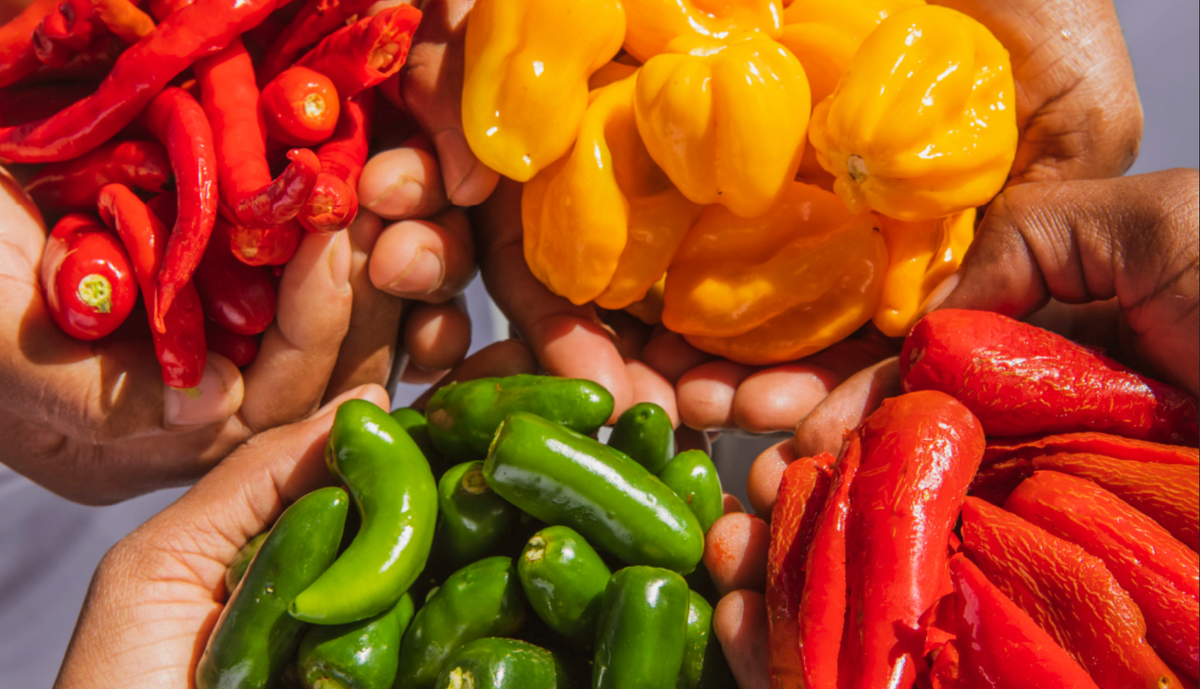 Black Mamba Hot Facts – Black Mamba Chilli